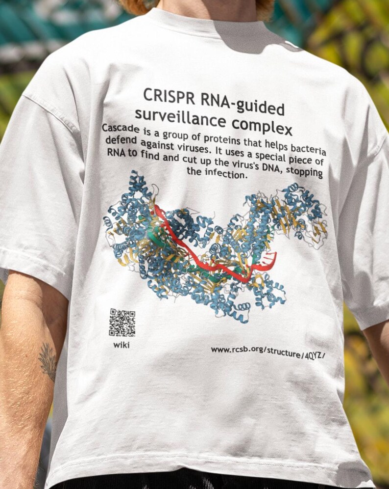 CRISPR Rna-guided Surveillance Complex Cartoon Schematic - Etsy