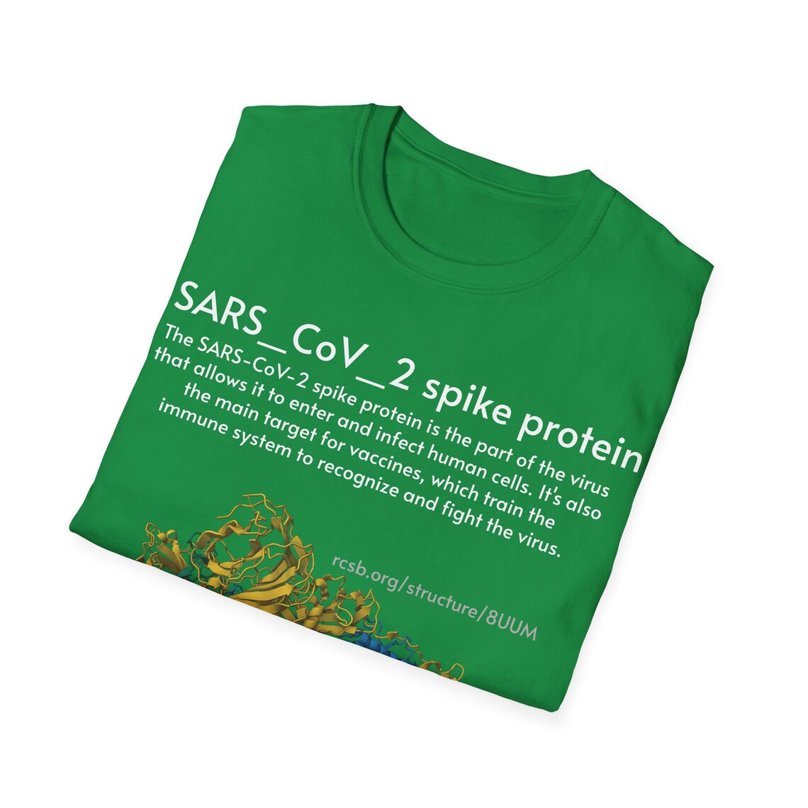 Sars_cov_2 Spike Protein Cartoon Schematic - Etsy