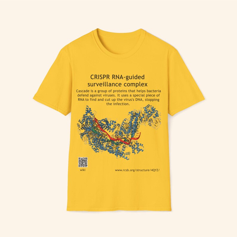 CRISPR Rna-guided Surveillance Complex Cartoon Schematic - Etsy