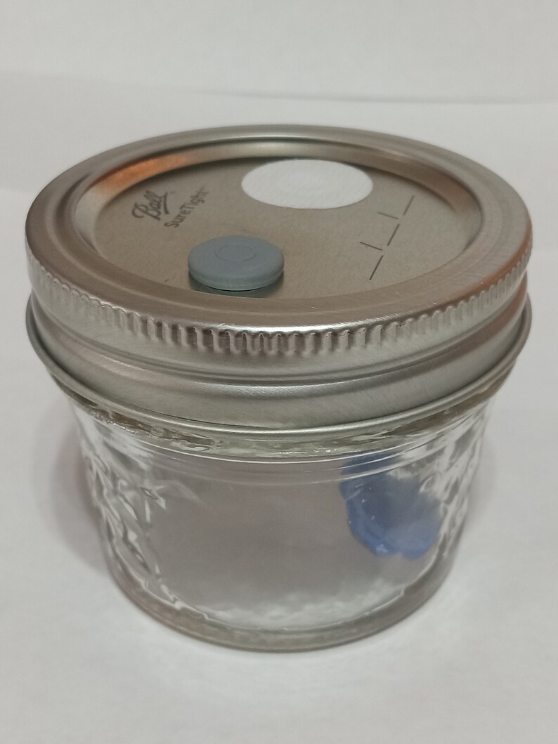 Empty Mushroom Liquid Culture Jars With Lid, Injection Port, Filter ...