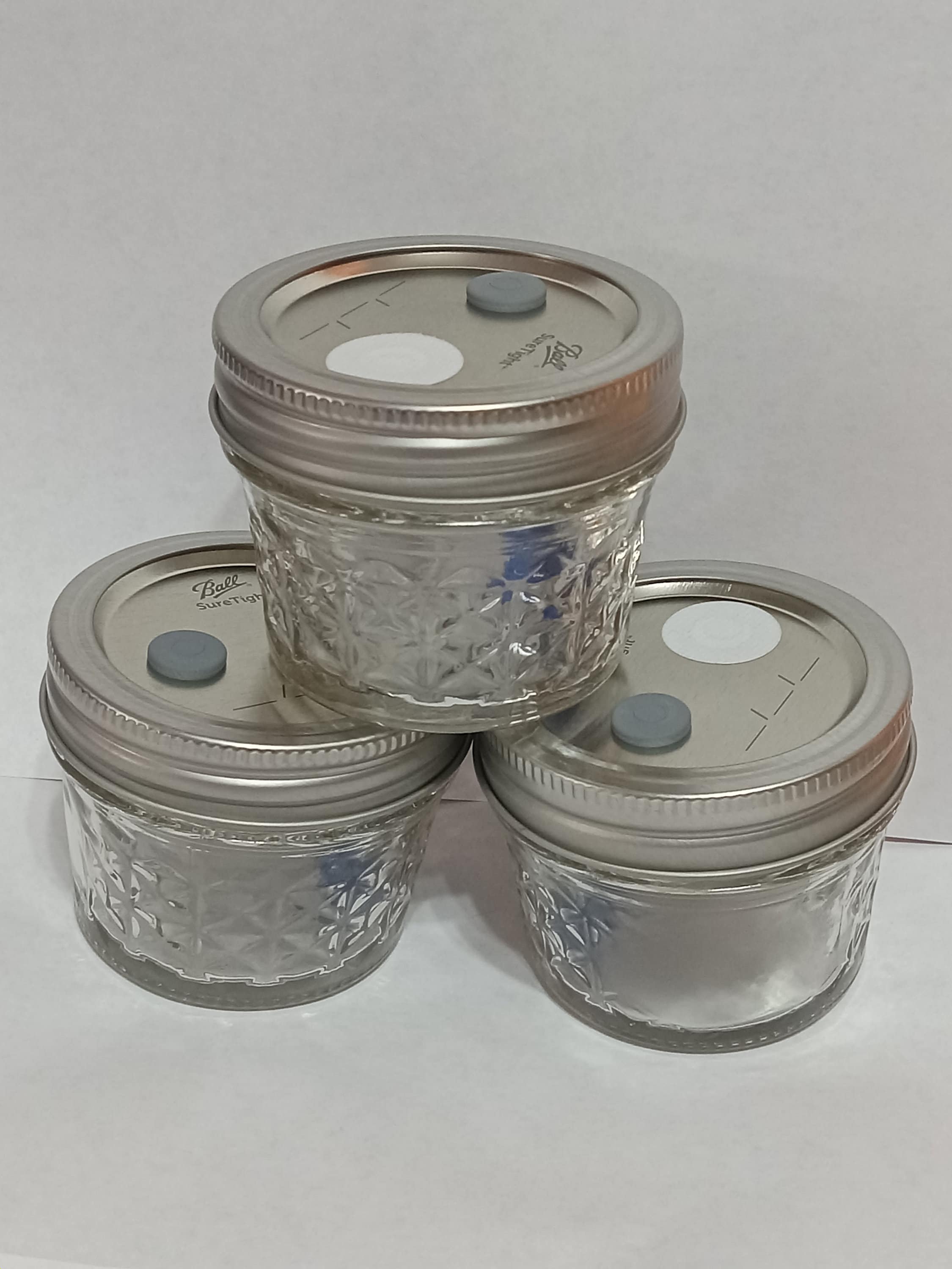 Empty Mushroom Liquid Culture Jars With Lid, Injection Port, Filter ...
