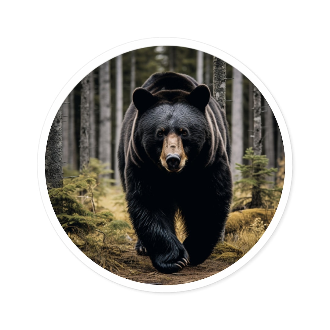 Black Bear Round Sticker, Indoor\outdoor - Etsy