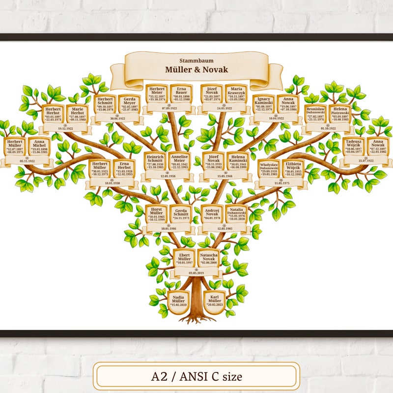 Family Tree 5 Generations - Etsy