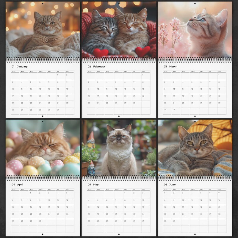 Cat Calendar - Etsy