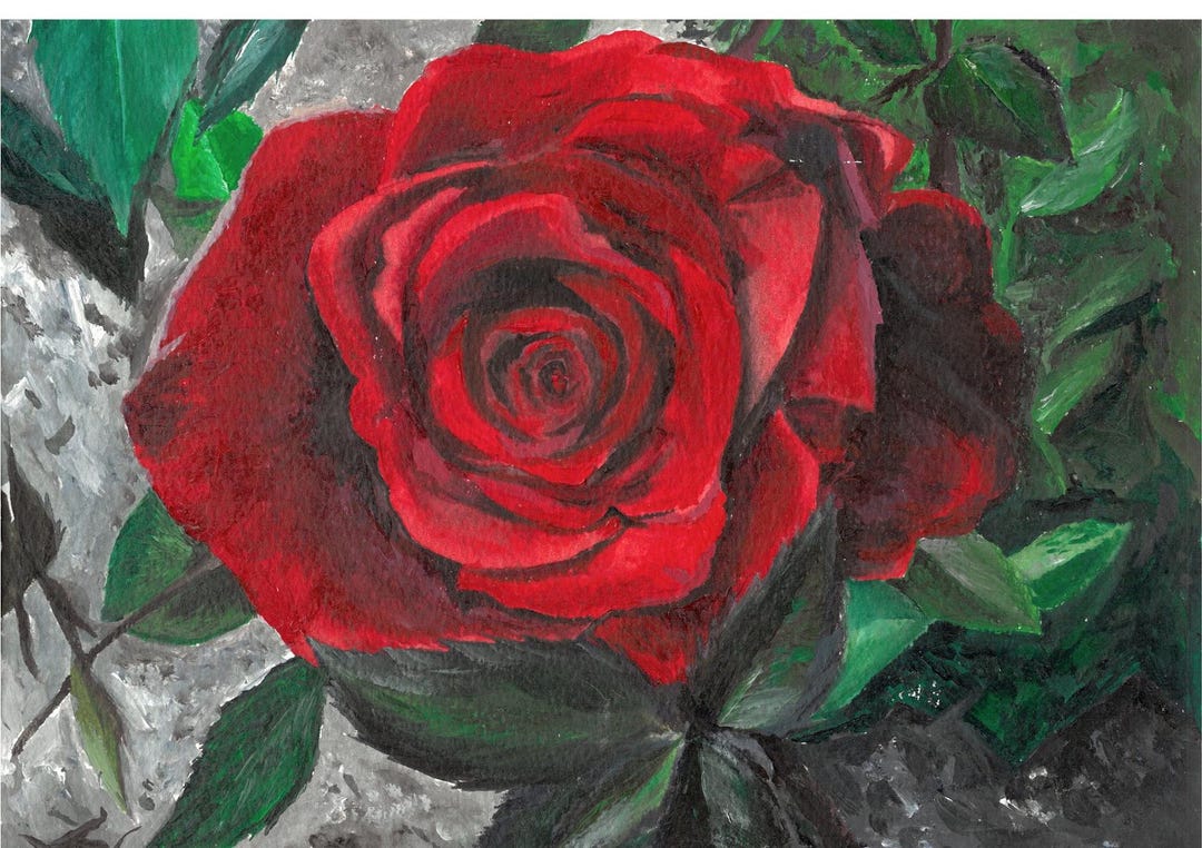 Red Rose Print - Etsy