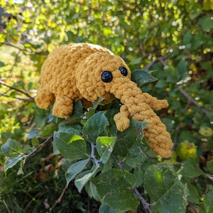 Wally the Weevil Crochet Pattern - Etsy