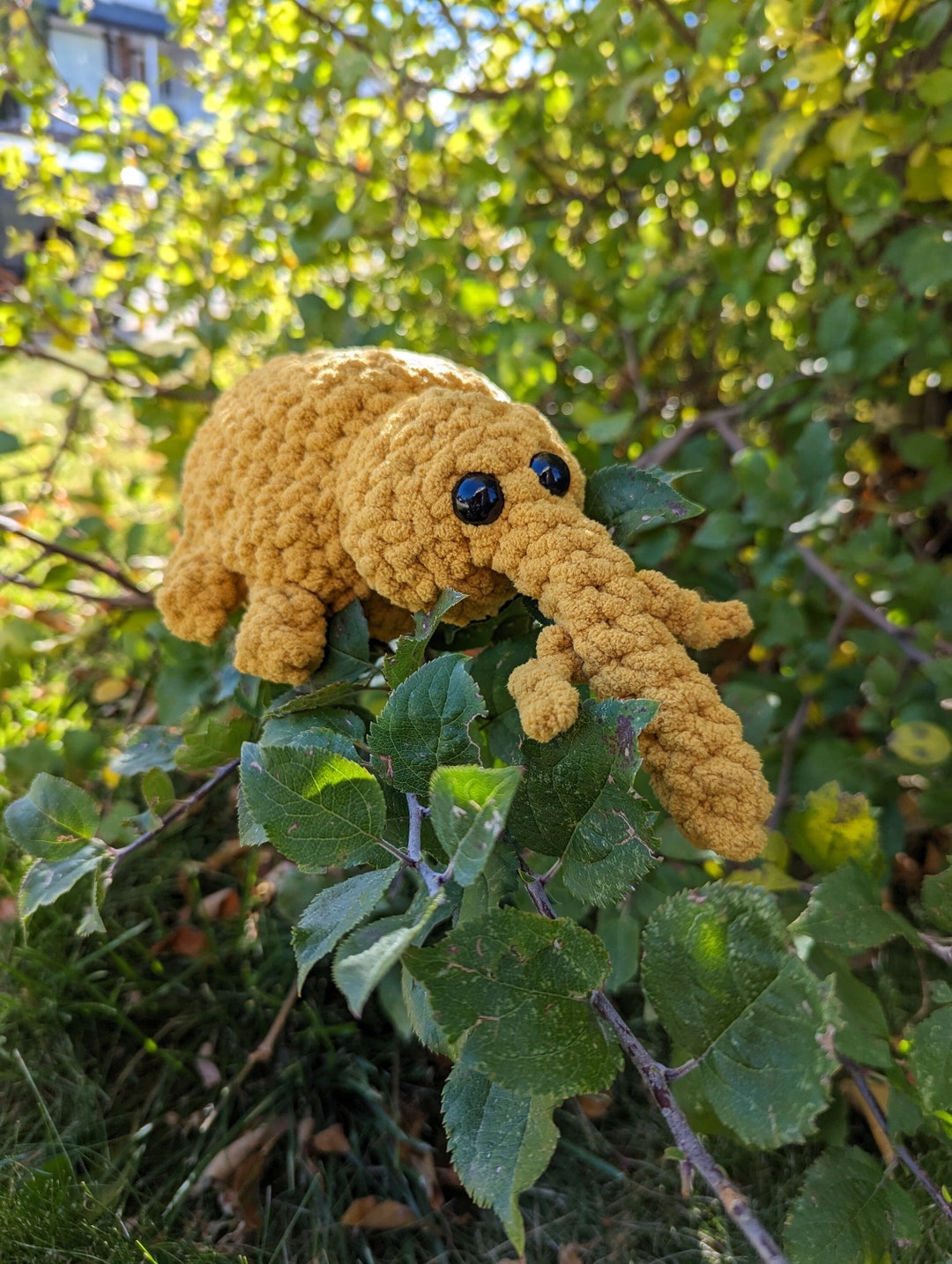 Wally the Weevil Crochet Pattern - Etsy