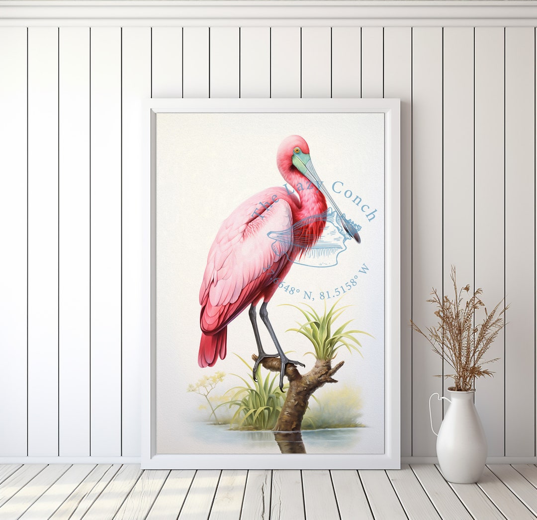 Perched Spoonbill Print,spoonbill Art,instant Download,coastal Bird Art ...