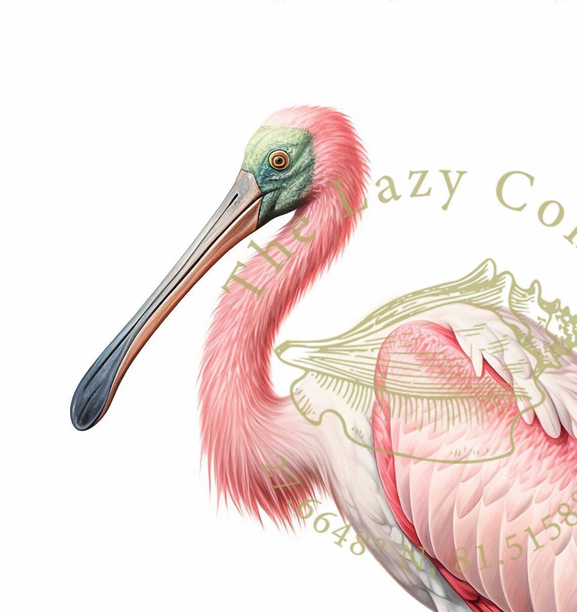 White and Pink Colored Spoonbill Art, Spoonbill Print, Instant Download ...