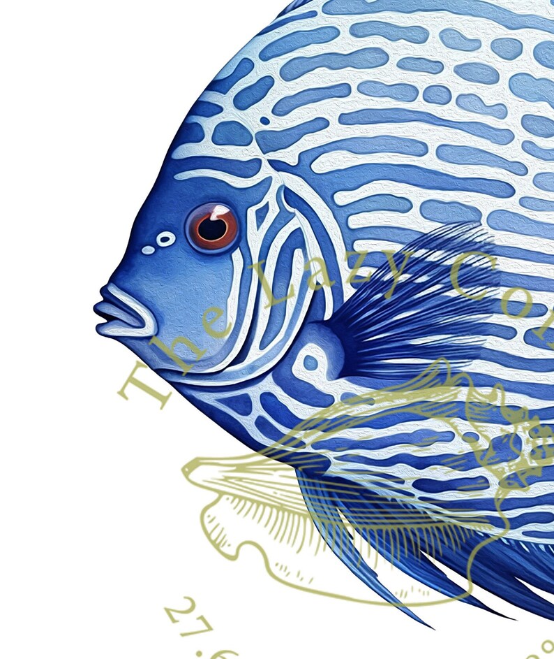 Modern Fish Art, Instant Download, Navy Discus Fish, Minimalist Wall ...