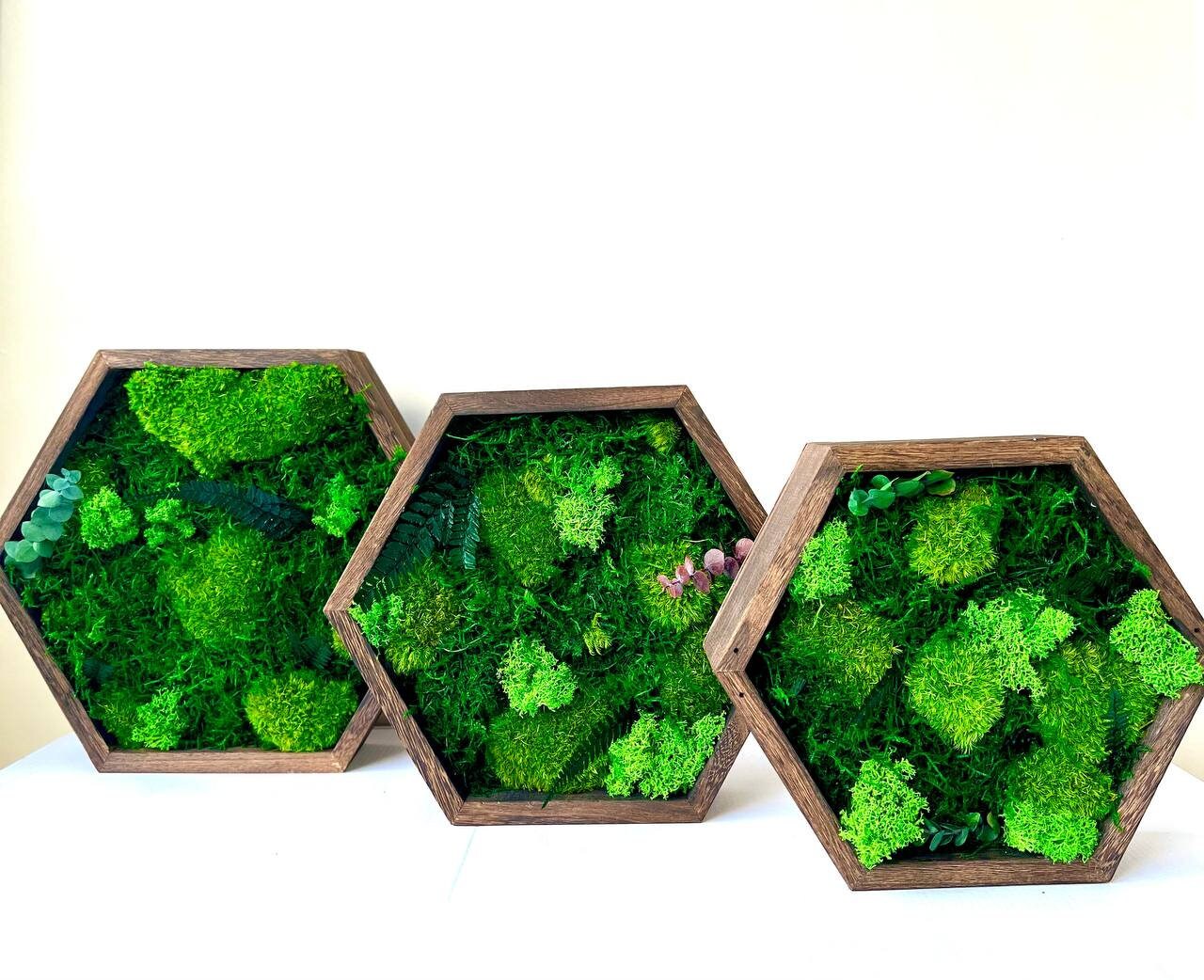 Wooden Hexagonal Frame With Moss - Etsy