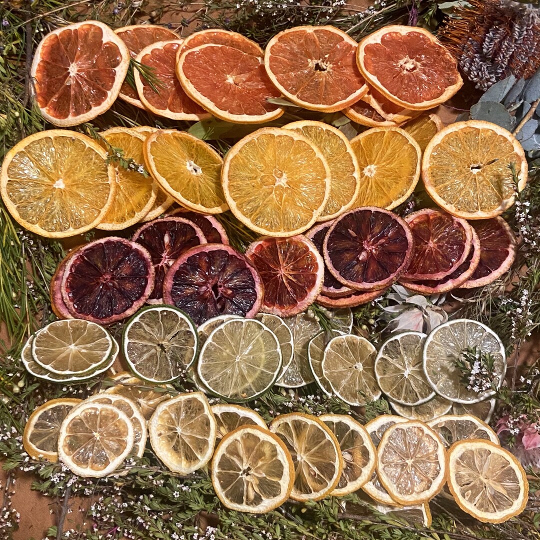 Mixed Dehydrated Garnish for Cocktails or Baking. Lime, Lemon, Blood ...