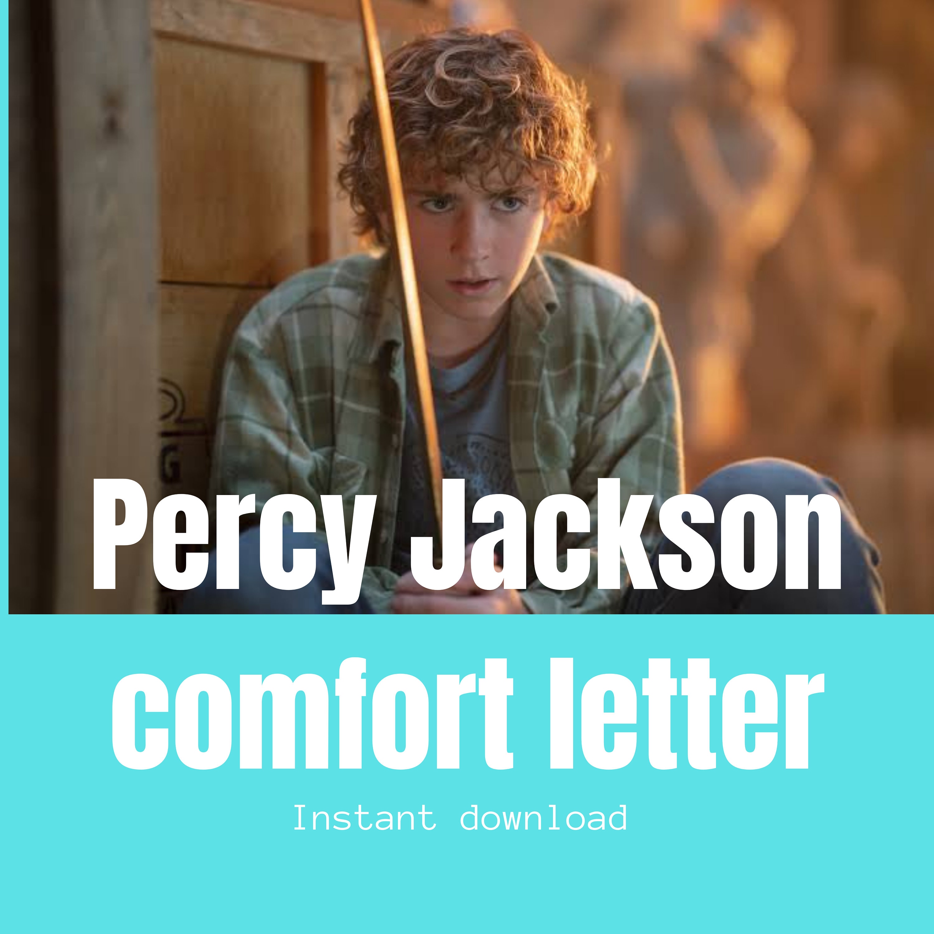 Percy Jackson Comfort Letter | Percy Jackson Merch | Demigod Comfort ...