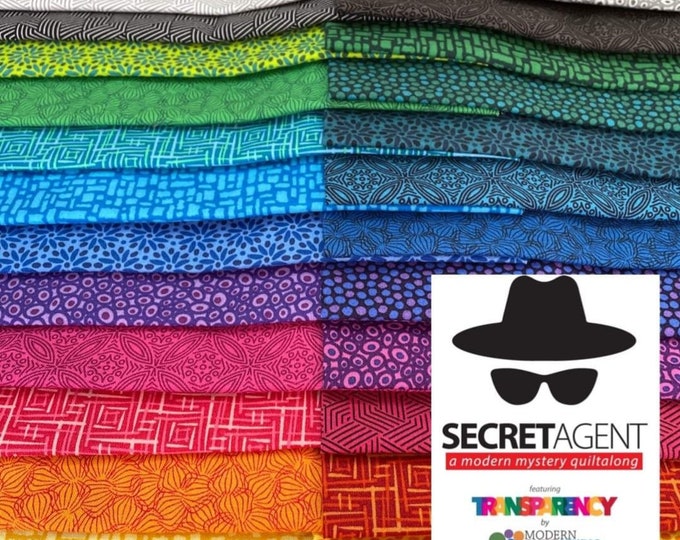 Transparency Fabric Kit, 24 FQ Bundle, Benartex by Modern Quilt Studio ...