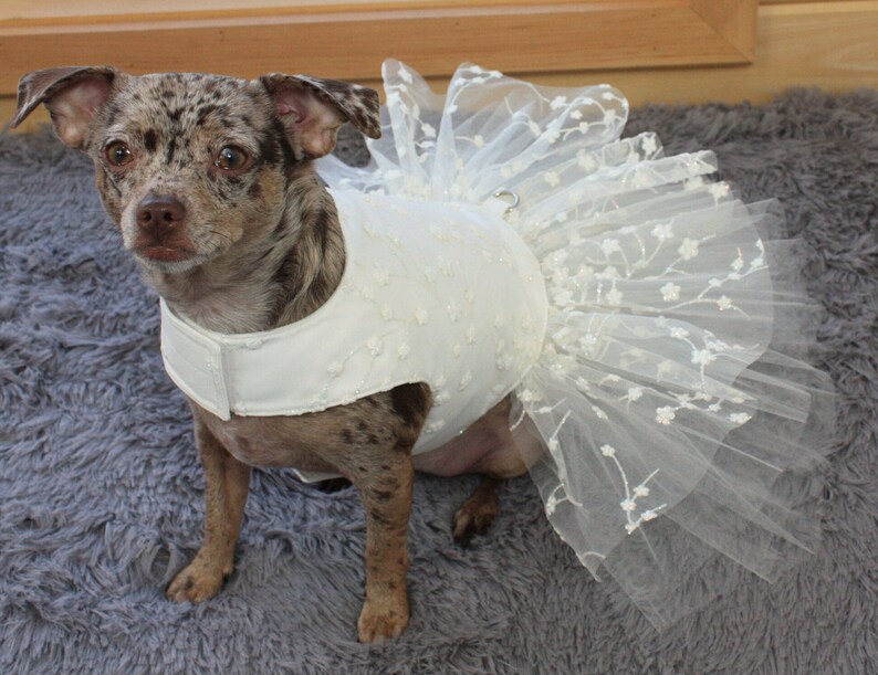 Cream Dog Wedding Dress Tutu With Floral Glitter, Sparkly Pet Outfit ...