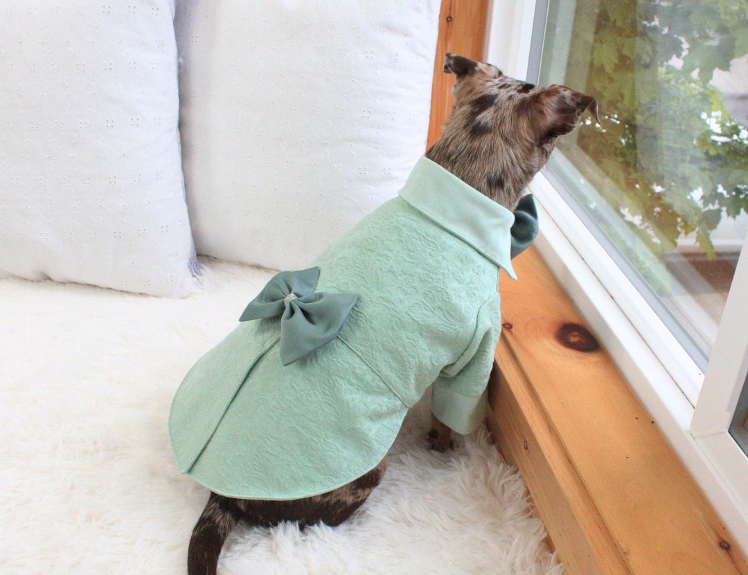 Seafoam Green Dog Suit, Pet Tuxedo Jacket Perfect for Weddings and ...