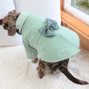 Seafoam Green Dog Suit, Pet Tuxedo Jacket Perfect for Weddings and ...