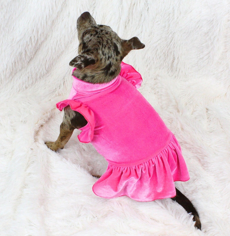 Hot Pink Dog Dress, Stretch Velvet, Comfortable Pet Outfit - Etsy