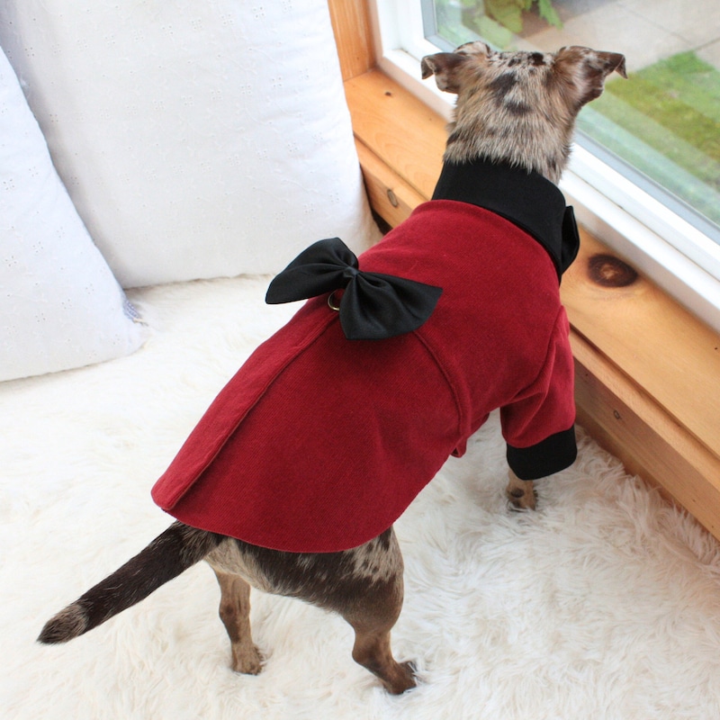 Custom Dog Tuxedo - Etsy