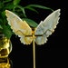 3.4 Natural Crazy Agate Hand Carved Crystal Owl Wings stand Sculpture ...