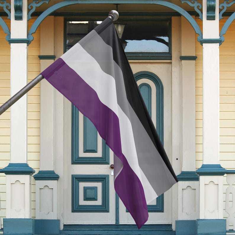 Asexual Pride Flag, LGBTQIA+ Pride Flags, Wall Art, Room Decor, LGBTQ ...