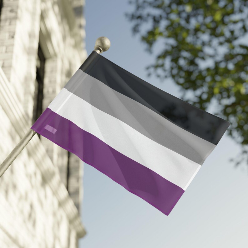 Asexual Pride Flag, LGBTQIA+ Pride Flags, Wall Art, Room Decor, LGBTQ ...