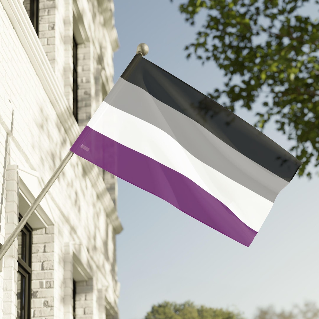 Asexual Pride Flag, LGBTQIA+ Pride Flags, Wall Art, Room Decor, LGBTQ Pride Decor, Home Decor ...