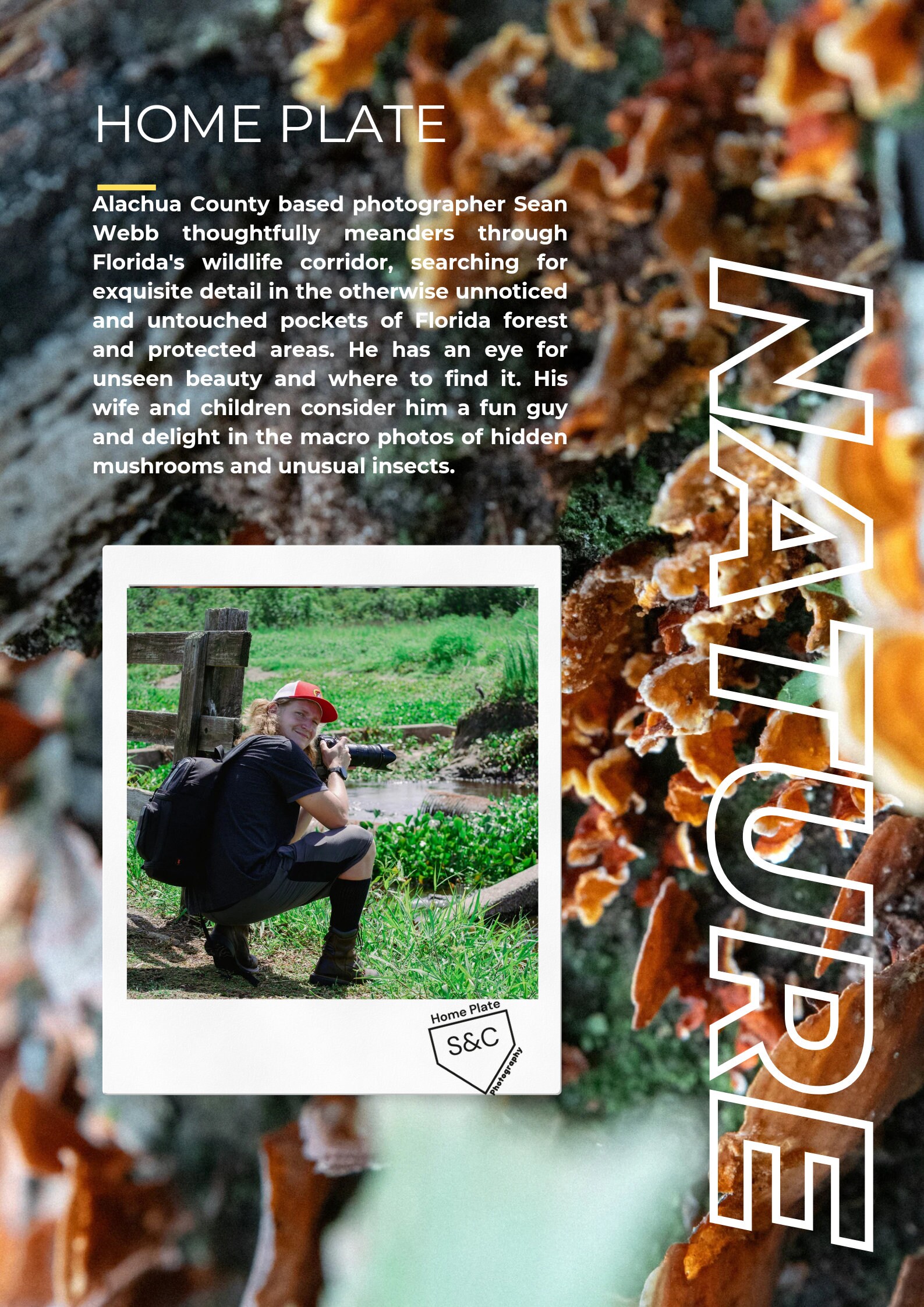 Purple Skimmer Dragonfly Fine Art Print - Etsy