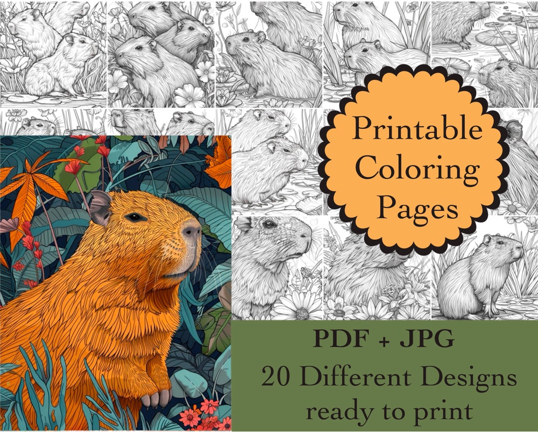 Capybara Coloring Book 20 Capybara Coloring Pages Instant Download ...