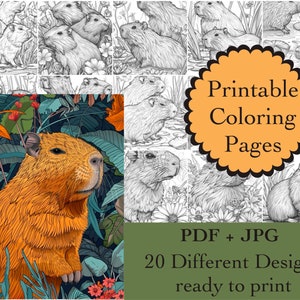 Capybara Coloring Book 20 Capybara Coloring Pages Instant Download ...