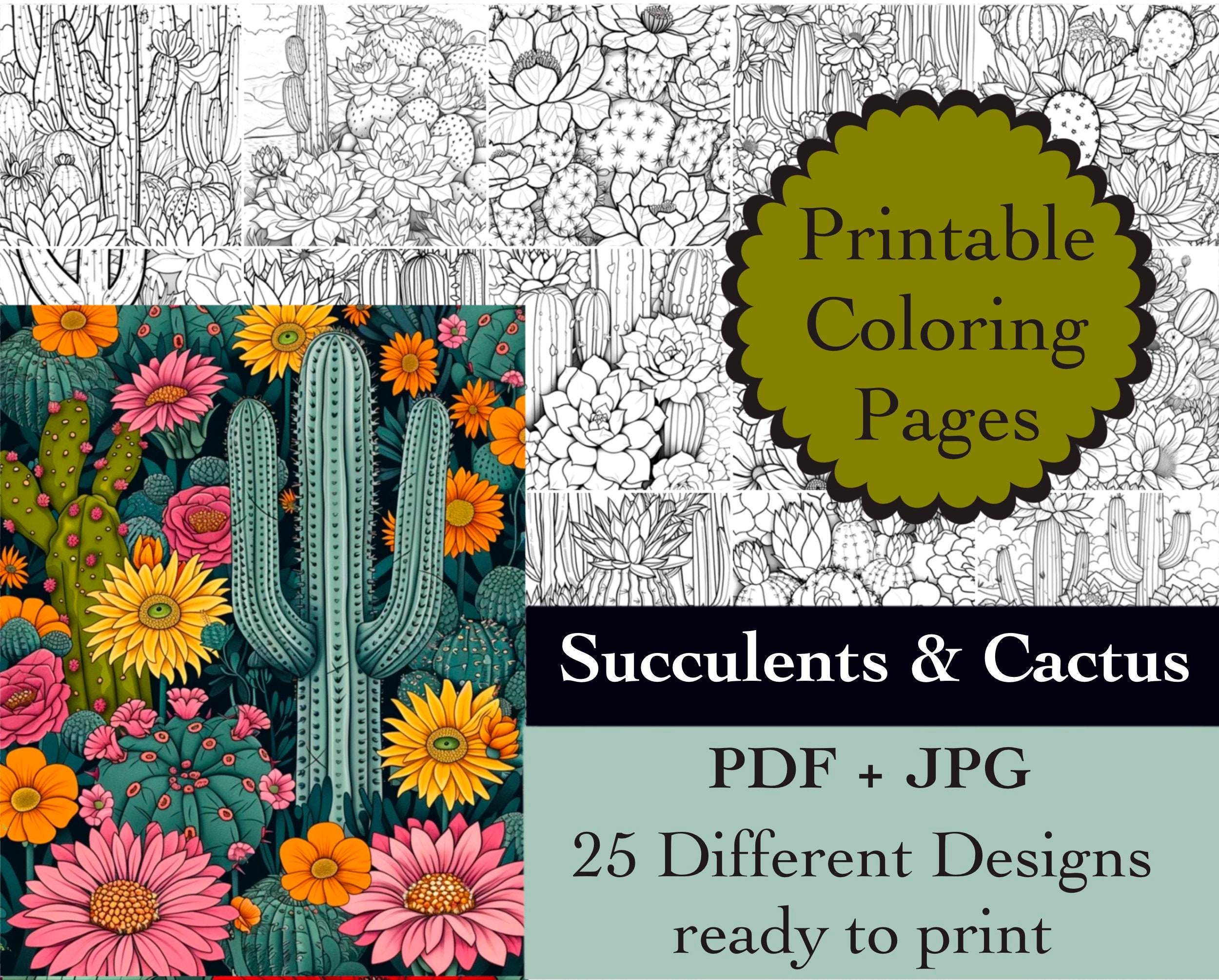 Succulents Cactus Coloring Book 20 Succulents Coloring Pages Instant ...