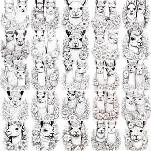 Llama Coloring Book 25 Llama Coloring Pages Instant Download Llamas ...