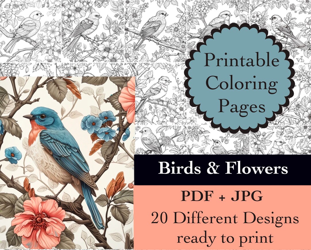 Birds Coloring Book 20 Birds Coloring Pages Instant Download Floral ...