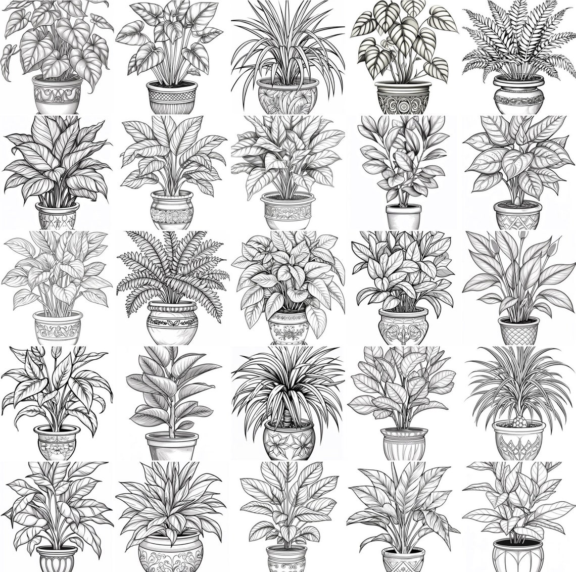 Indoor House Plants Coloring Book 25 House Plants Coloring Pages ...