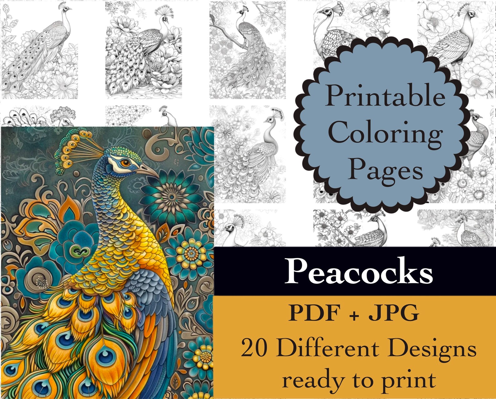 Peacock Coloring Book 20 Peacock Coloring Pages Instant Download ...