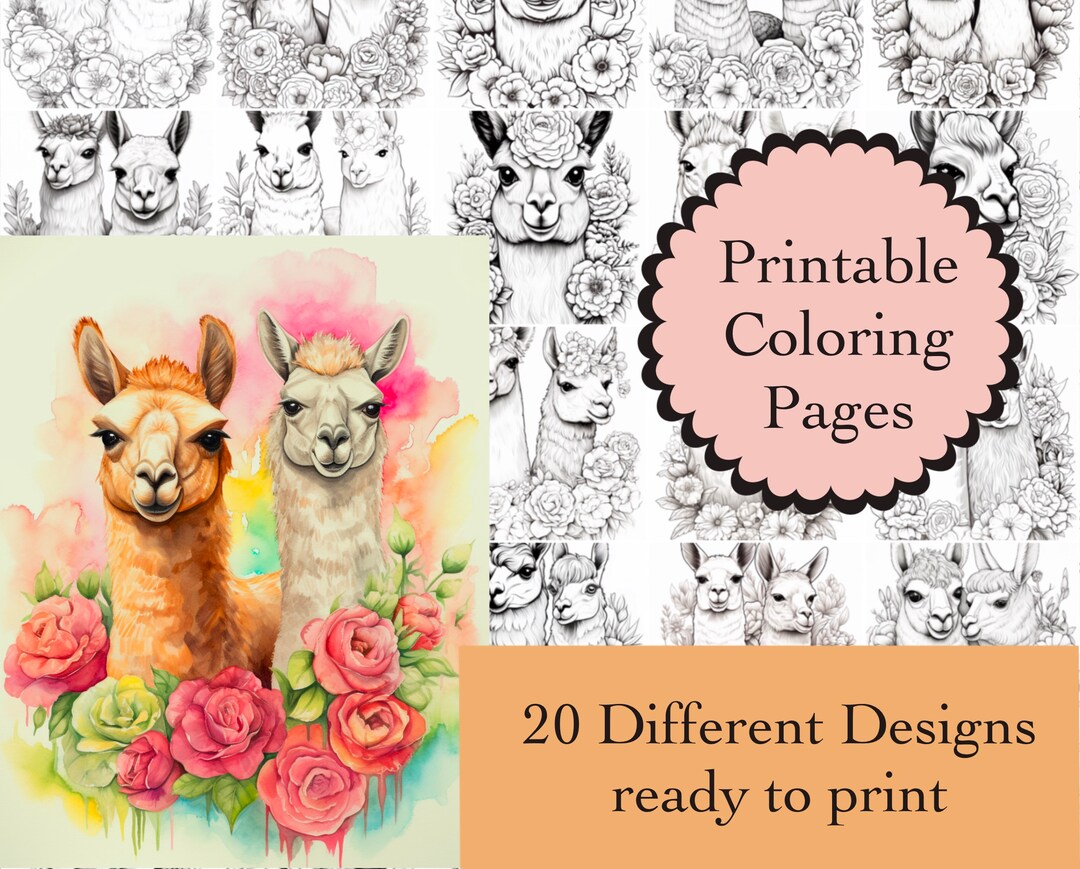 Llama Coloring Book 25 Llama Coloring Pages Instant Download Llamas ...