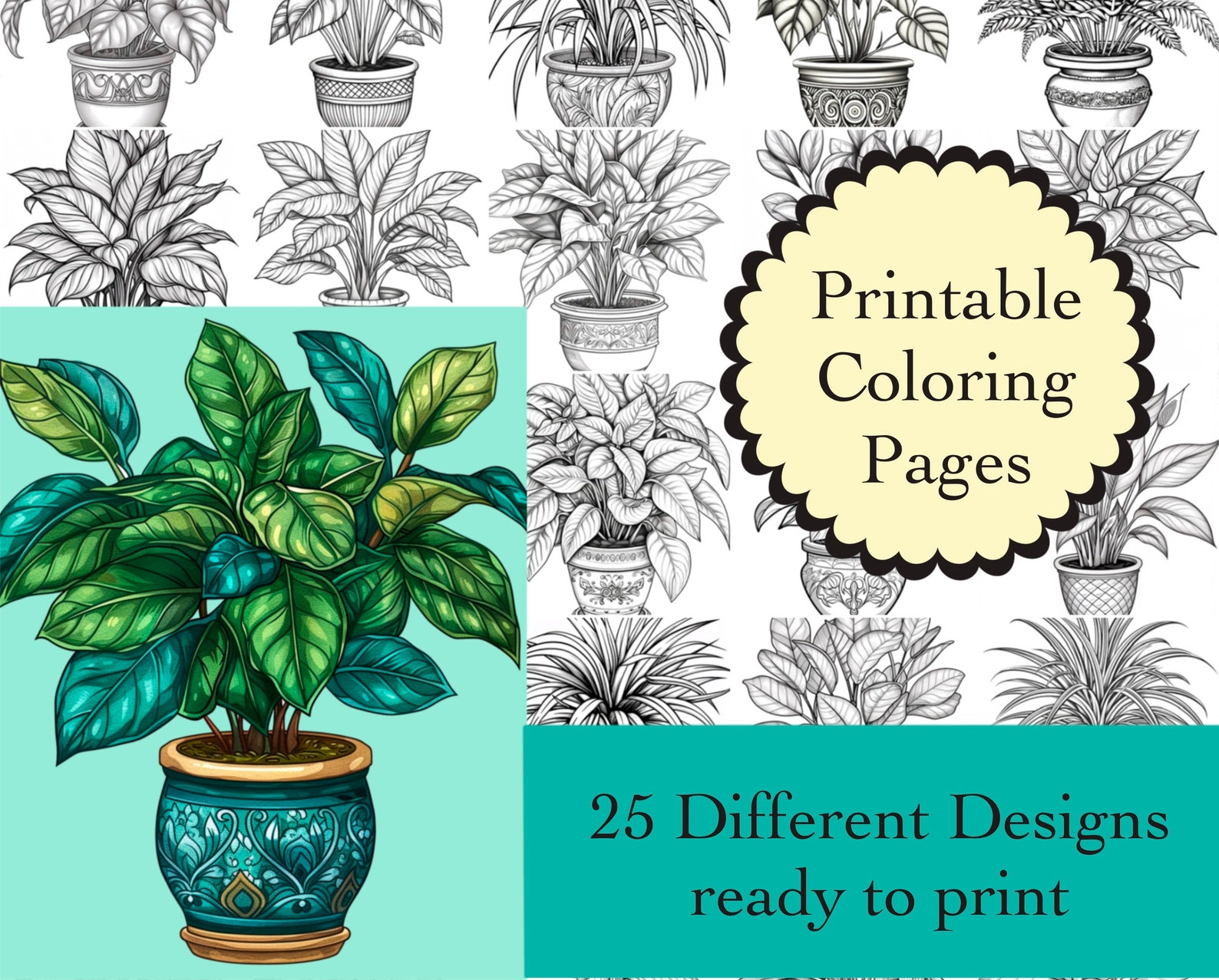 House Plants Coloring Book: 25 Printable Line Art Pages (digital ...