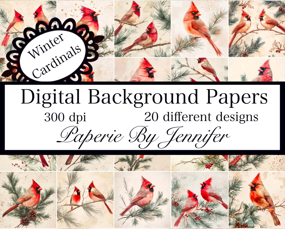 Winter Cardinal Clipart 20 Instant Download Cardinal Printable ...