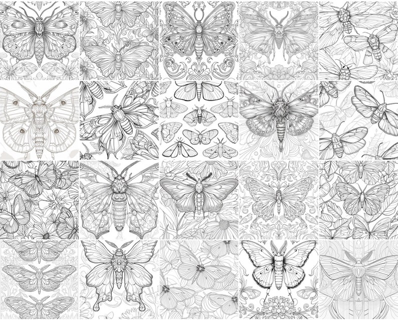 Moth Coloring Book 20 Moth Coloring Pages Instant Download Insect ...
