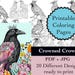 Crowned Crows Coloring Book 20 Birds Coloring Pages Instant Download ...