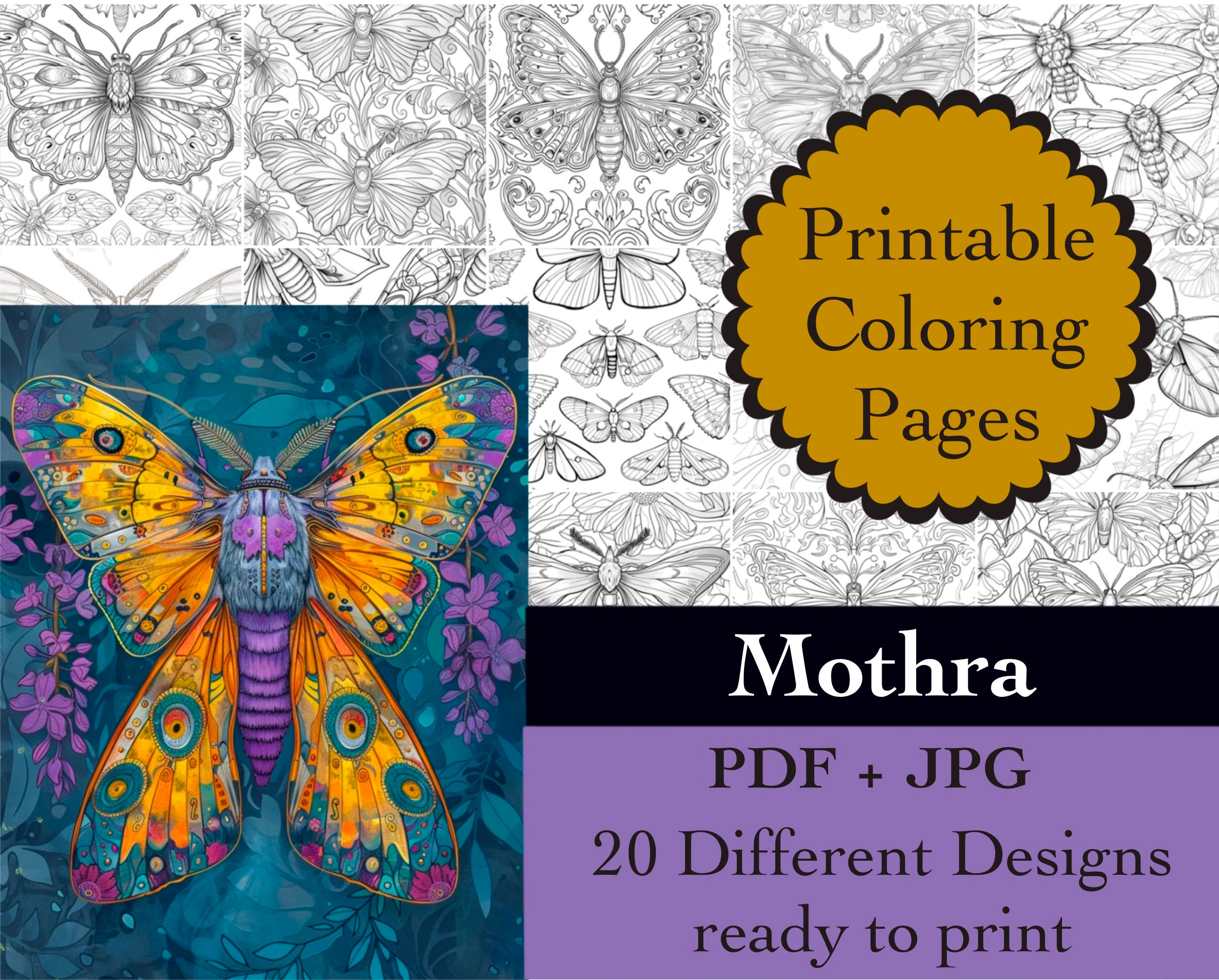 Moth Coloring Book 20 Moth Coloring Pages Instant Download Insect ...