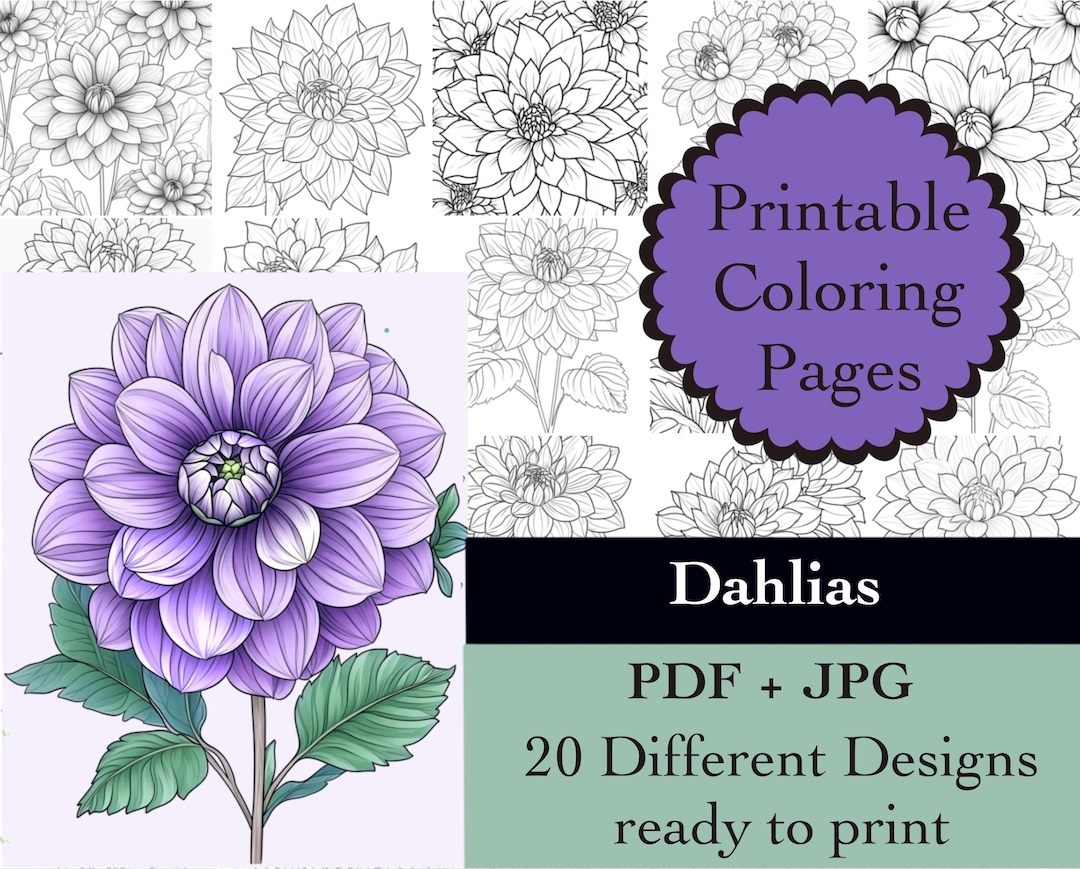 Dahlia Flower Coloring Book 20 Dahlia Coloring Pages Instant Download ...