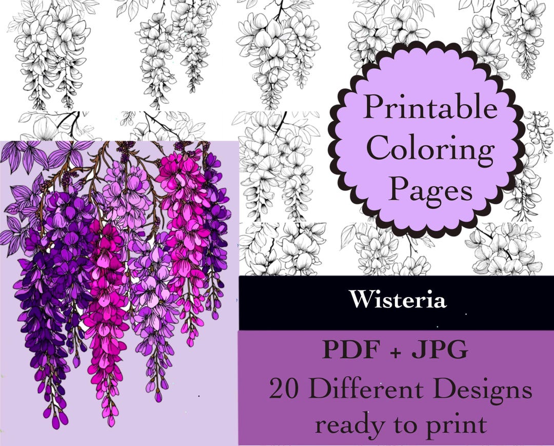 Wisteria Flowers Coloring Book 20 Coloring Pages Instant Download ...