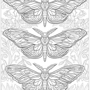 Moth Coloring Book 20 Moth Coloring Pages Instant Download Insect ...