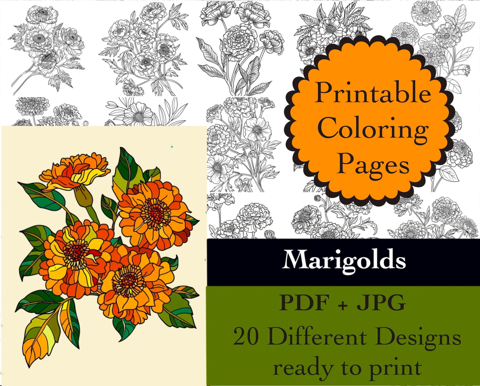 Marigold Flowers Coloring Book: 20 Botanical Line Art Pages (instant ...