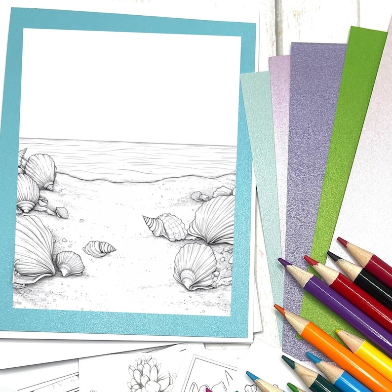 Seashells Coloring Book: 20 Beach Line Art Pages (digital Download) - Etsy