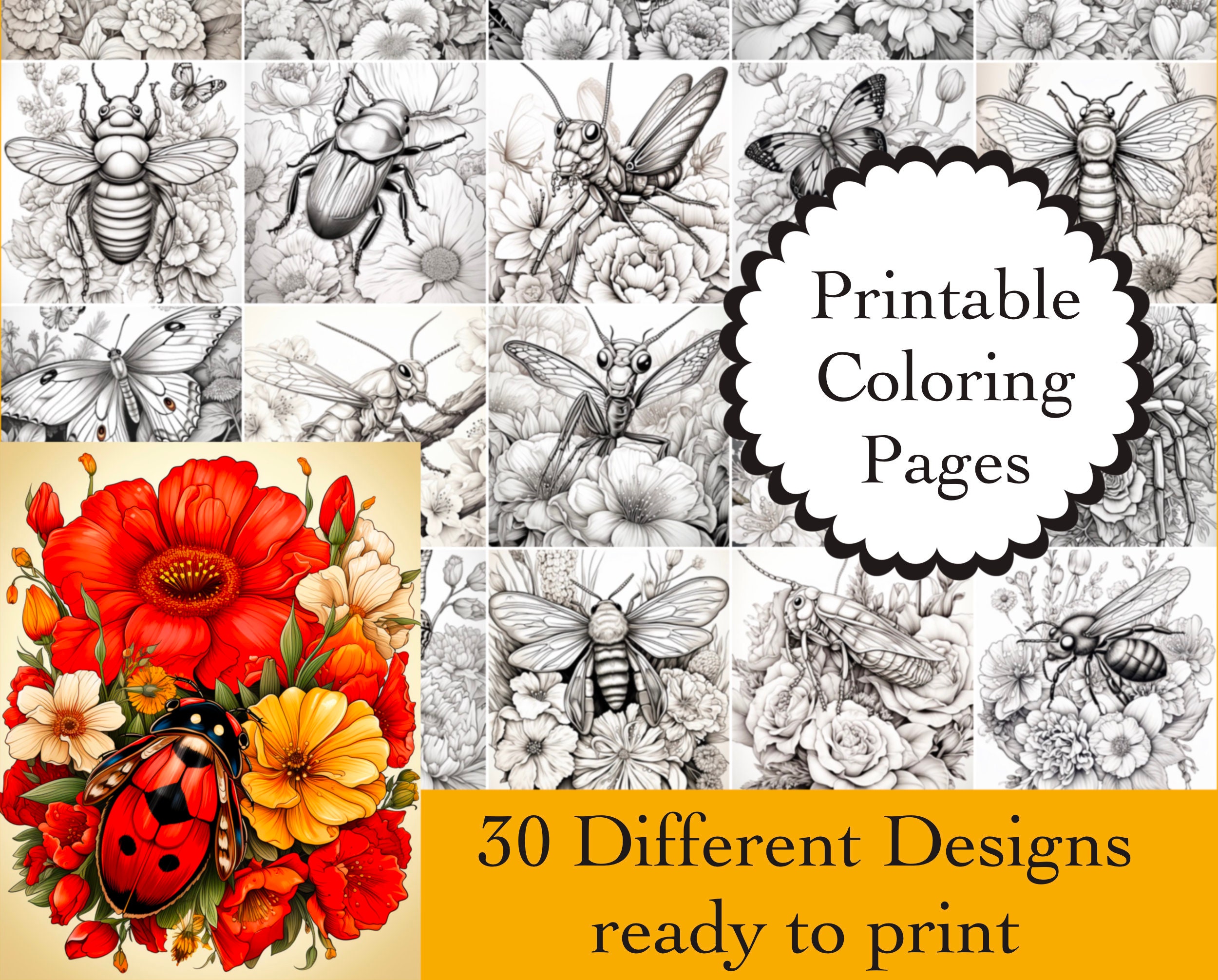 Insects Coloring Book 30 Insects Coloring Pages Instant Download ...