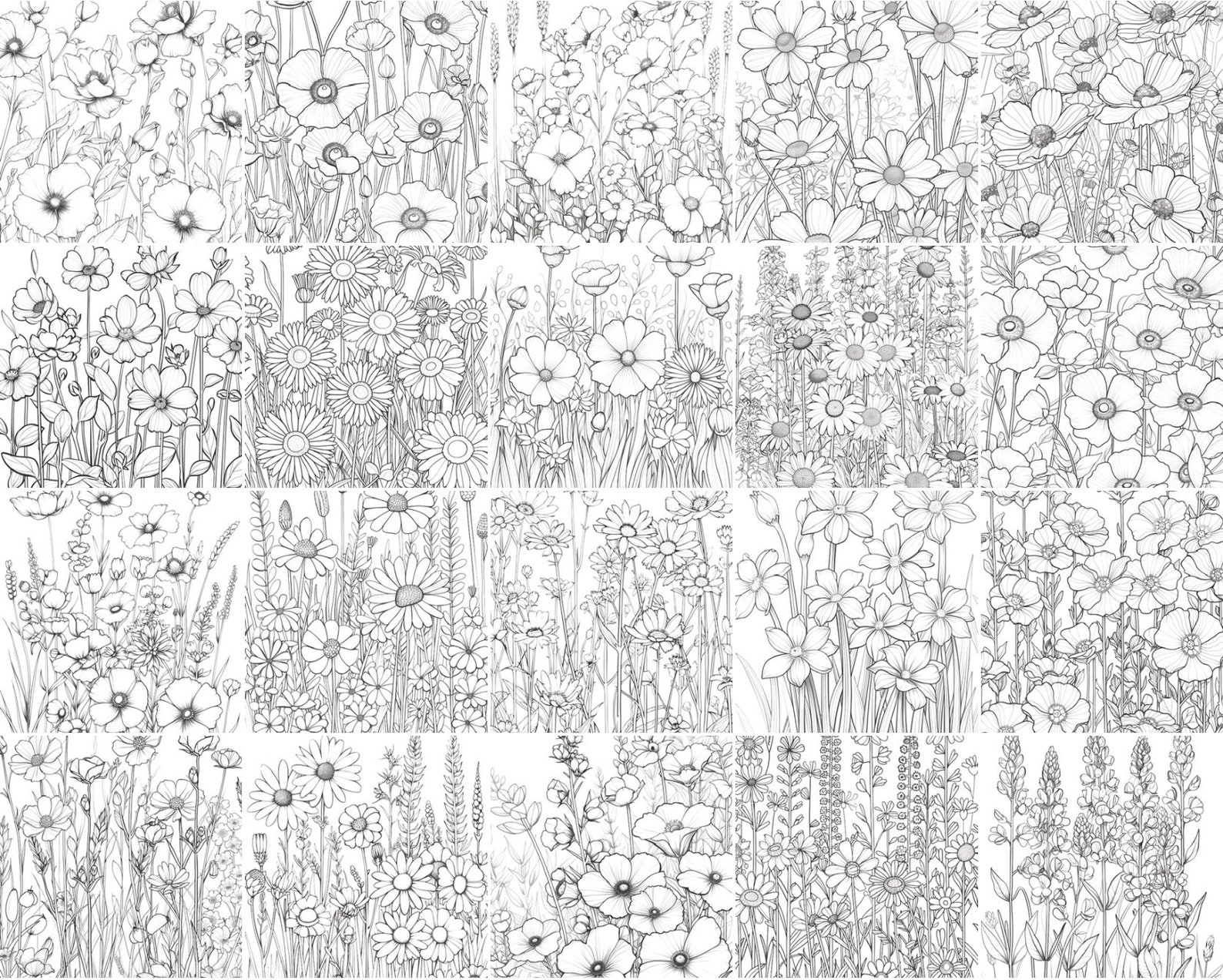 Wildflowers Coloring Book 20 Wildflower Coloring Pages Instant Download ...