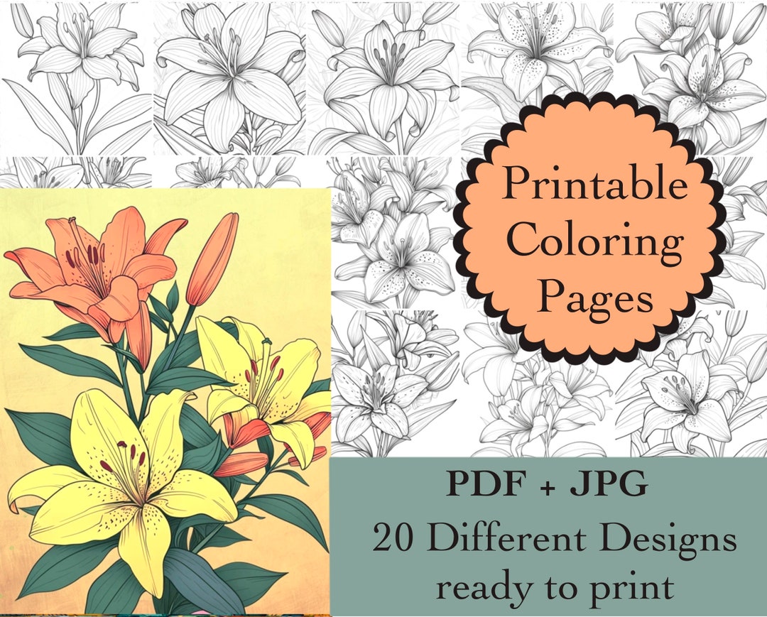 Lily Flower Coloring Book 20 Lillies Coloring Pages Instant Download ...