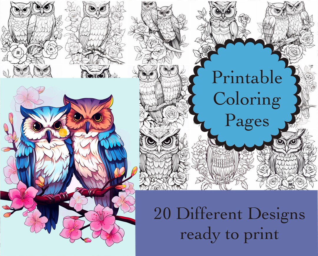 Owl Coloring Book 20 Owl Coloring Pages Instant Download Owls Printable ...